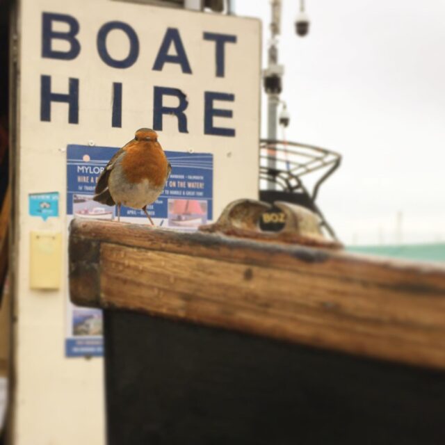 Mylor Boat Hire - Self-drive boats, Cornwall near Falmouth
