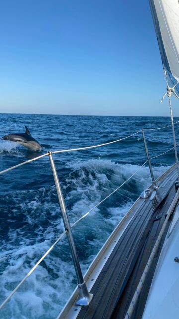 Mylor Boat Hire - Self-drive boats, Cornwall near Falmouth