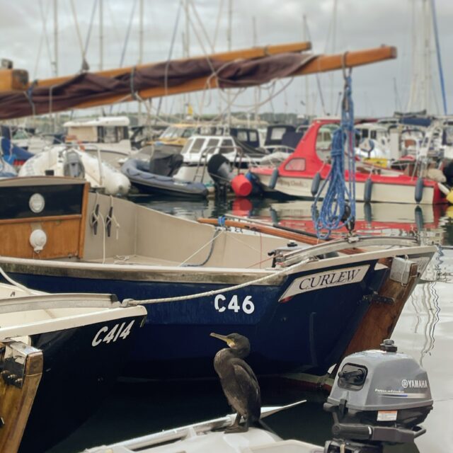 Mylor Boat Hire - Self-drive boats, Cornwall near Falmouth