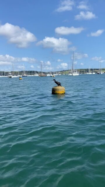 Mylor Boat Hire - Self-drive boats, Cornwall near Falmouth