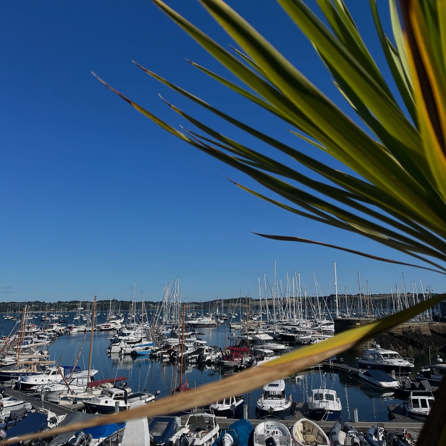 Mylor Boat Hire - Self-drive boats, Cornwall near Falmouth